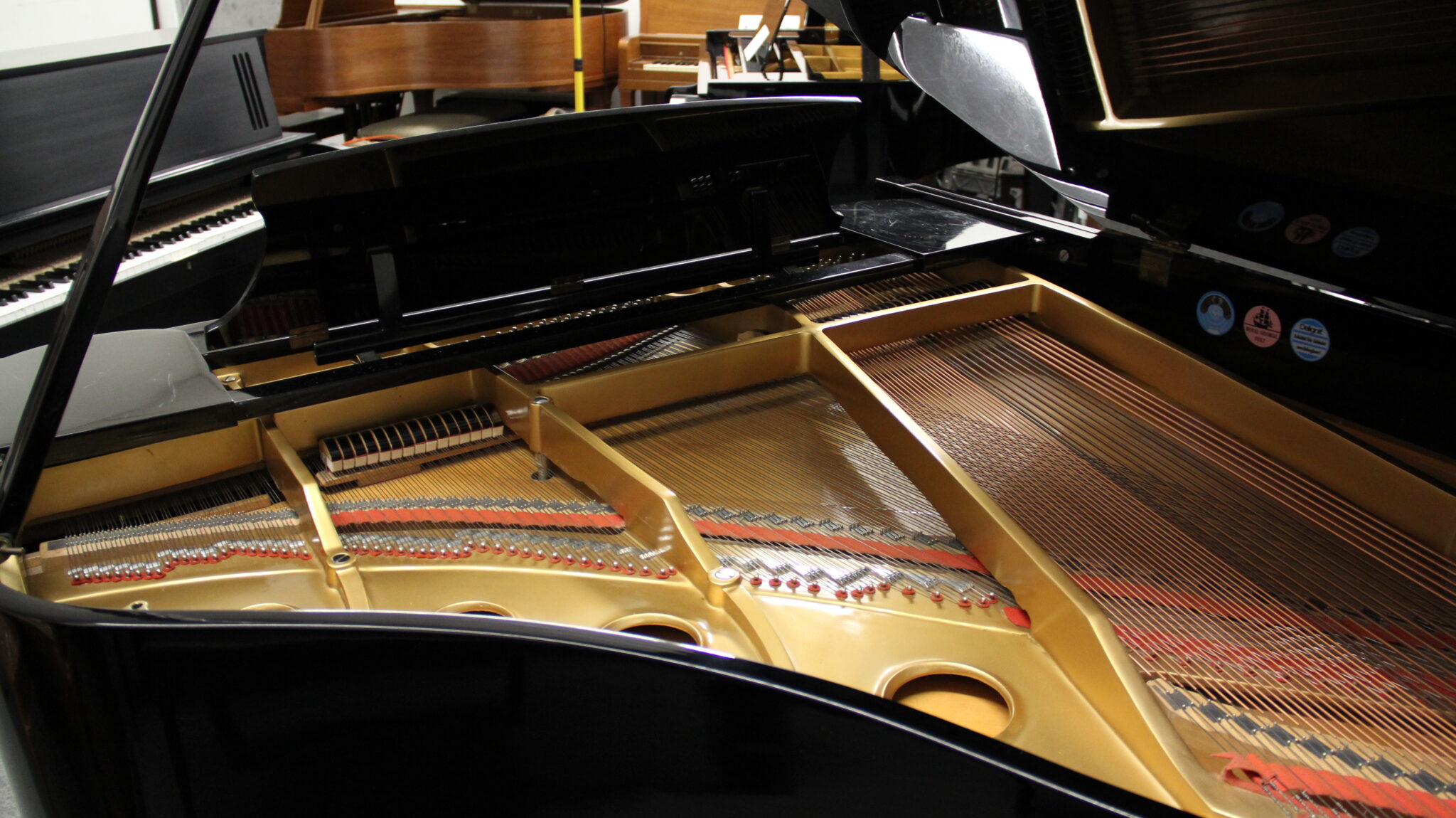 Altenburg 6'2" Performance Grand Piano - B Natural Pianos