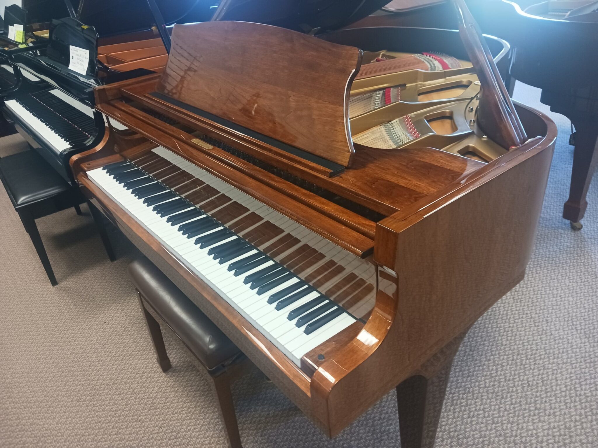 Hallet, Davis & Co. Baby Grand Piano - B Natural Pianos