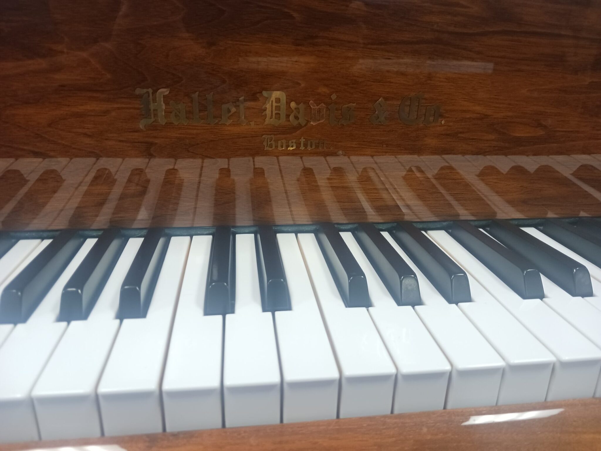 Hallet, Davis & Co. Baby Grand Piano - B Natural Pianos