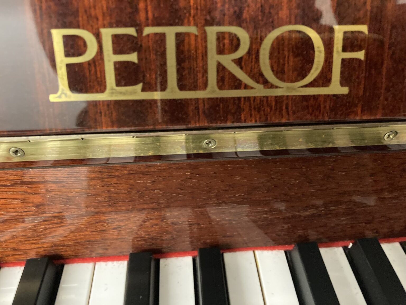 Petrof 48” Professional Upright Piano - B Natural Pianos